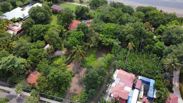 Exclusive Opportunity: Prime Beachfront Lot in a Premium Location ...