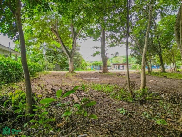 Playa Potrero Homesite – Prime Land Opportunity Near Costa Rica’s Paci ...
