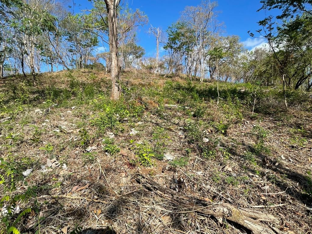 Ocean View Lot Near Playa Grande – Prime Location – Tony & Anna Velez